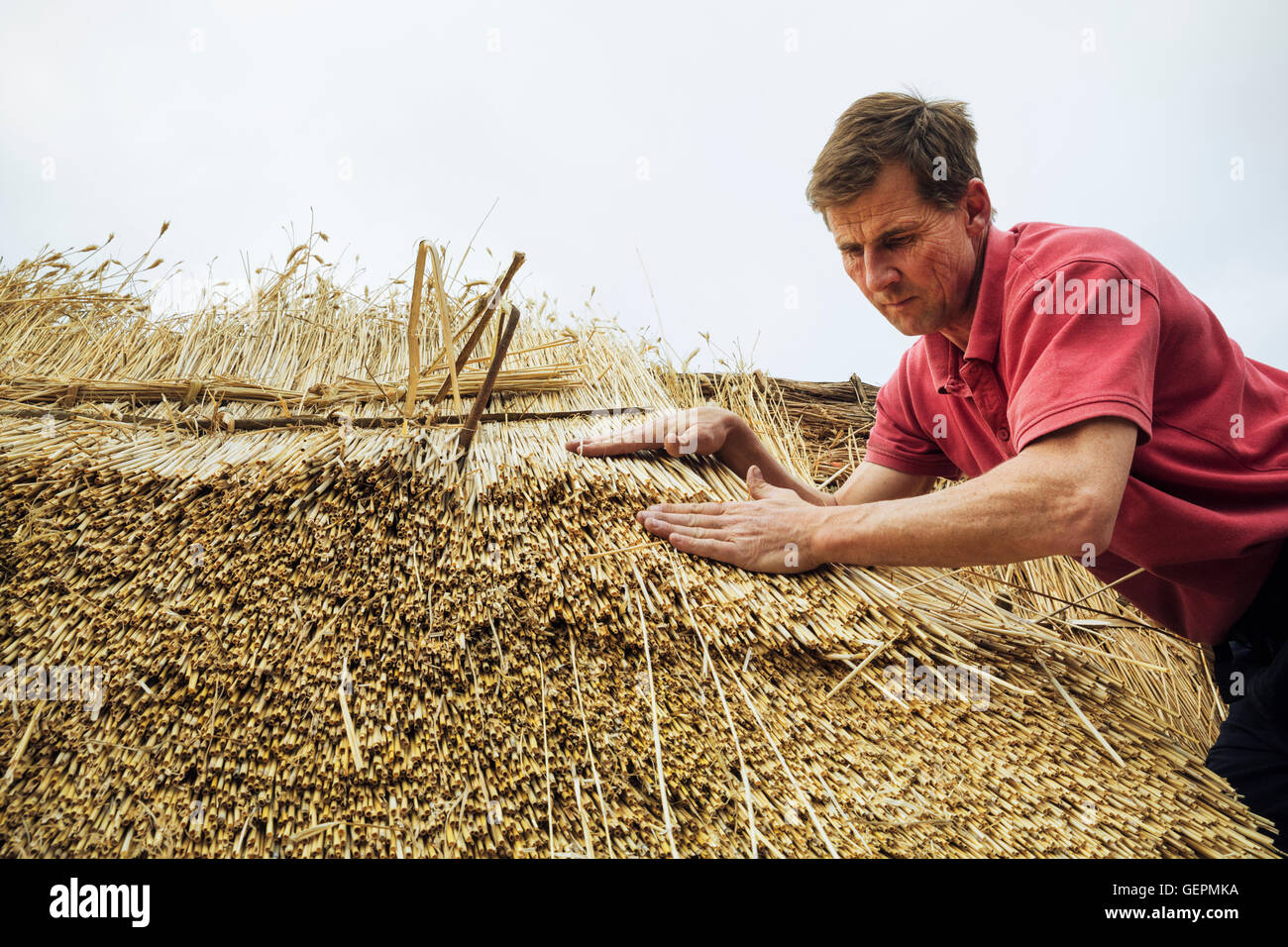 Thatching grass hi-res stock photography and images - Alamy