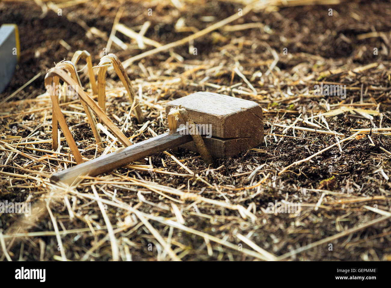 Straw bed hi-res stock photography and images - Alamy