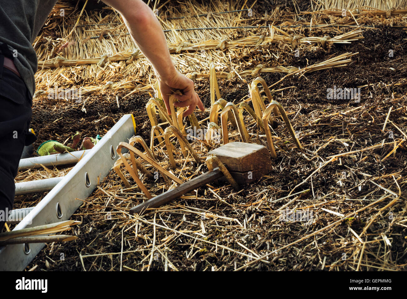 Man standing on ladder hi-res stock photography and images - Alamy