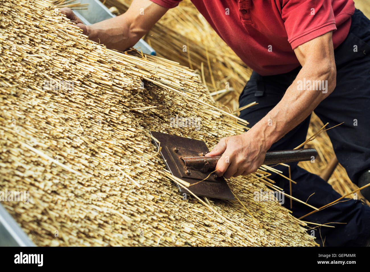Man thatching a roof, standing on a ladder, dressing the thatch using a ...