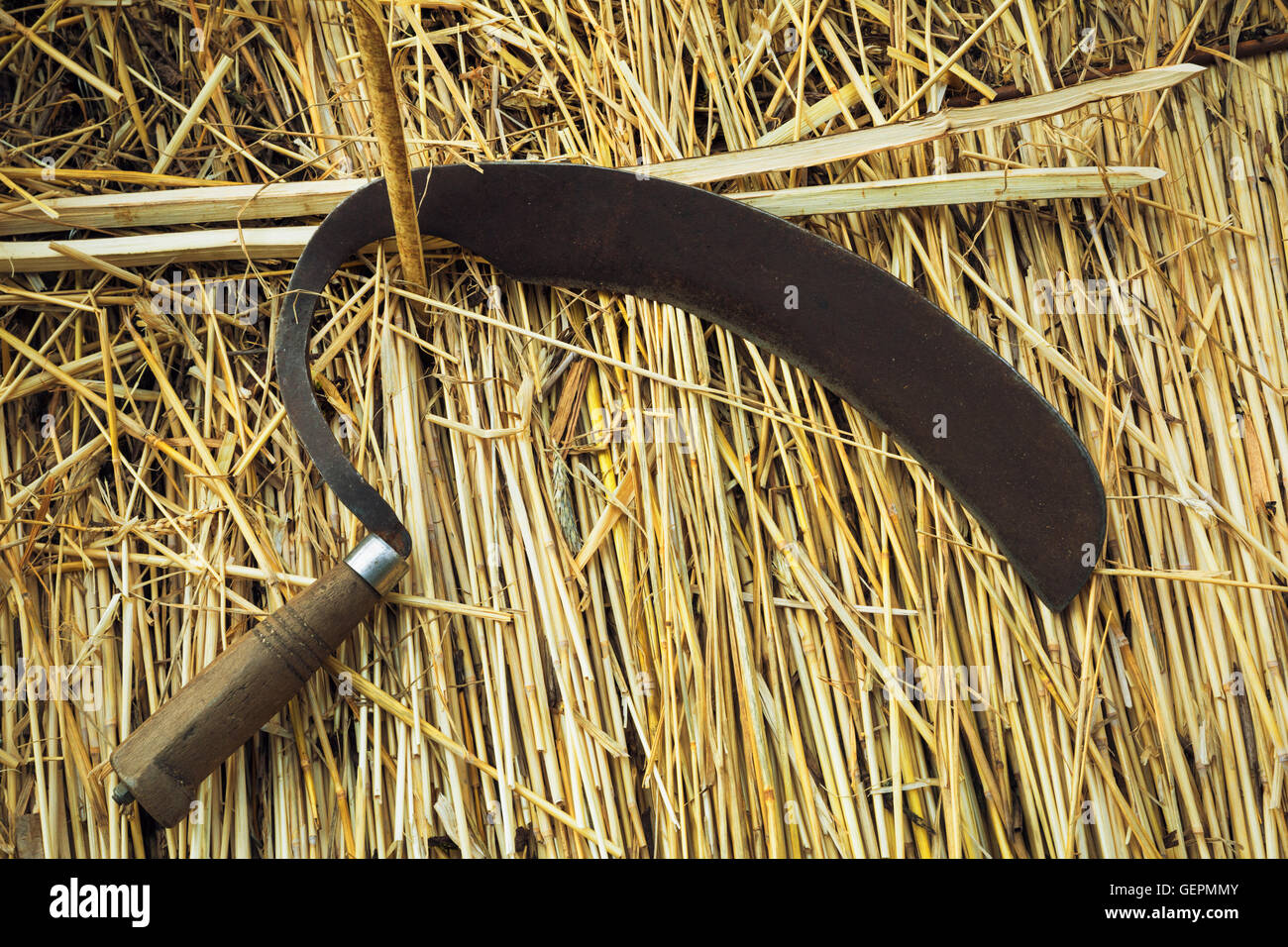 Close up of a shearing hook on a straw thatched roof Stock Photo - Alamy