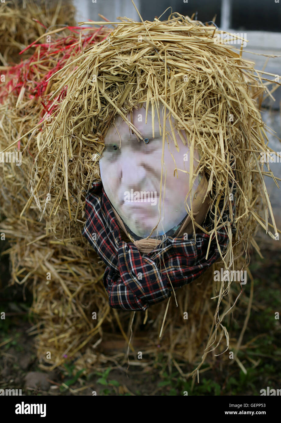 Sheep durrow scarecrow festival hi-res stock photography and images - Alamy
