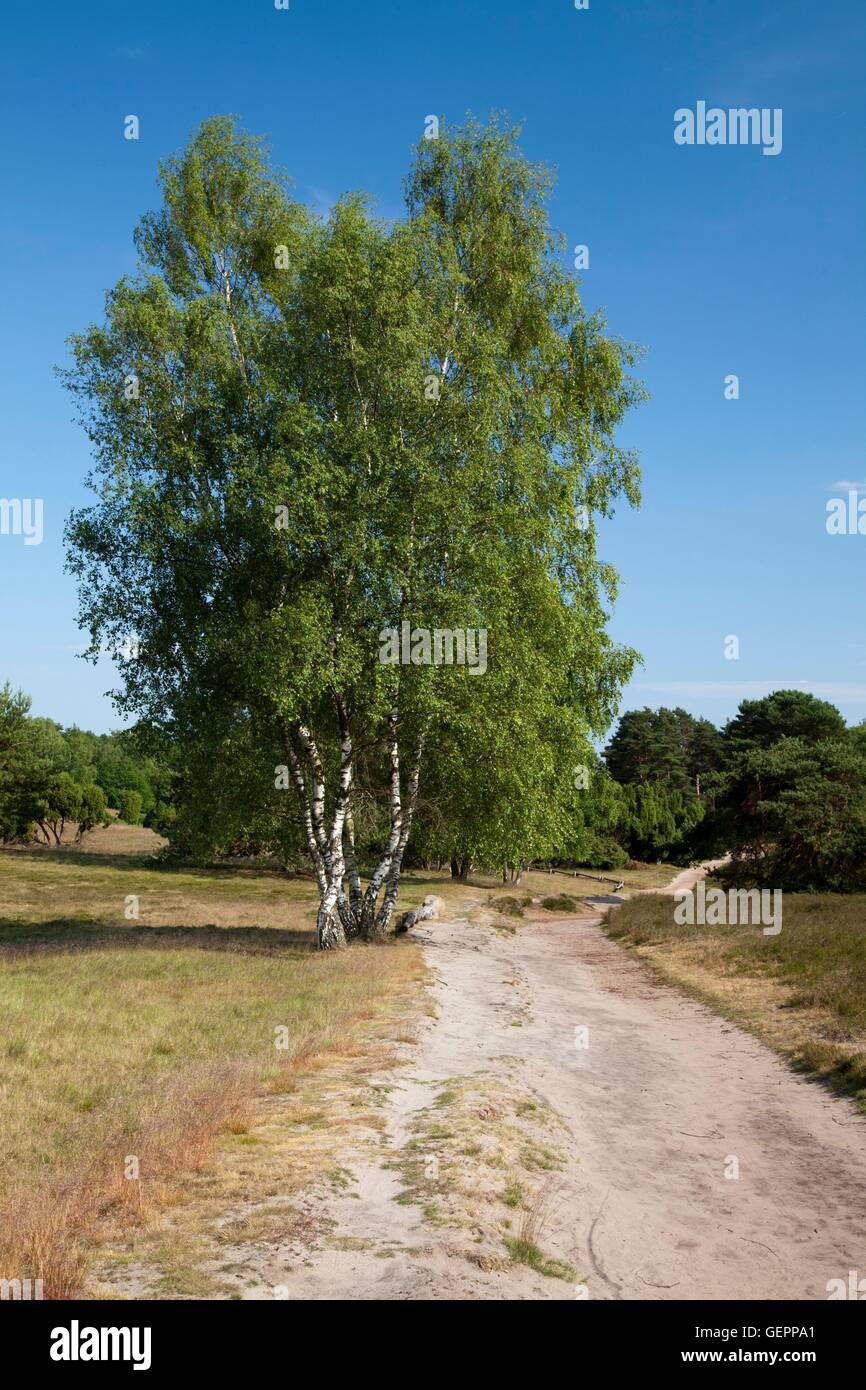 Nordrhein westphalia hike hi-res stock photography and images - Alamy