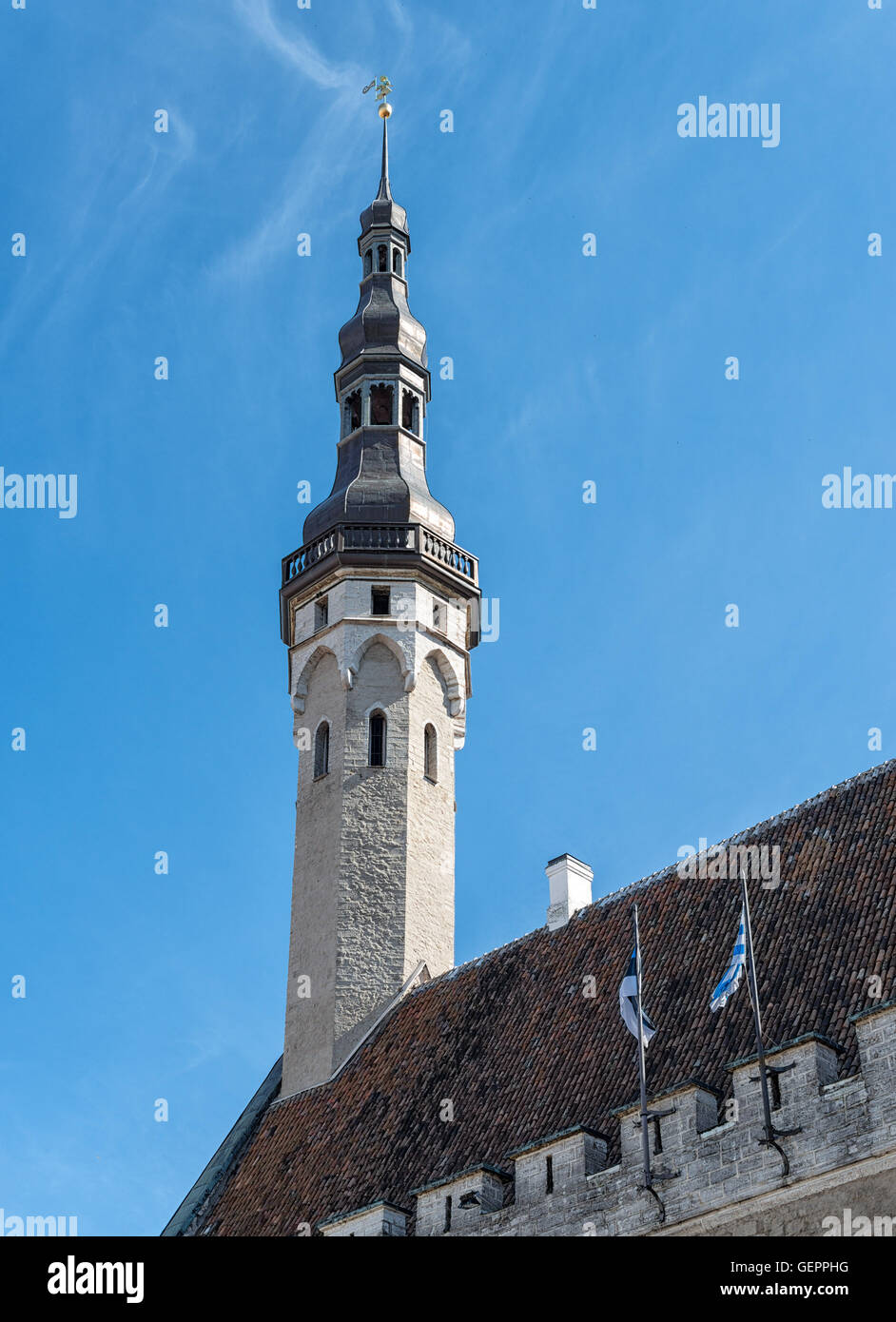 Tallinn Town Hall and Old Thomas Stock Photo - Alamy