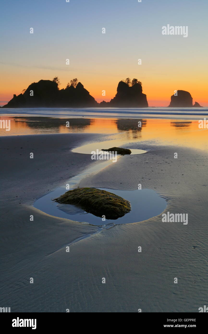 geography / travel, USA, Washington, Point of the Arches, Shi Shi Beach ...