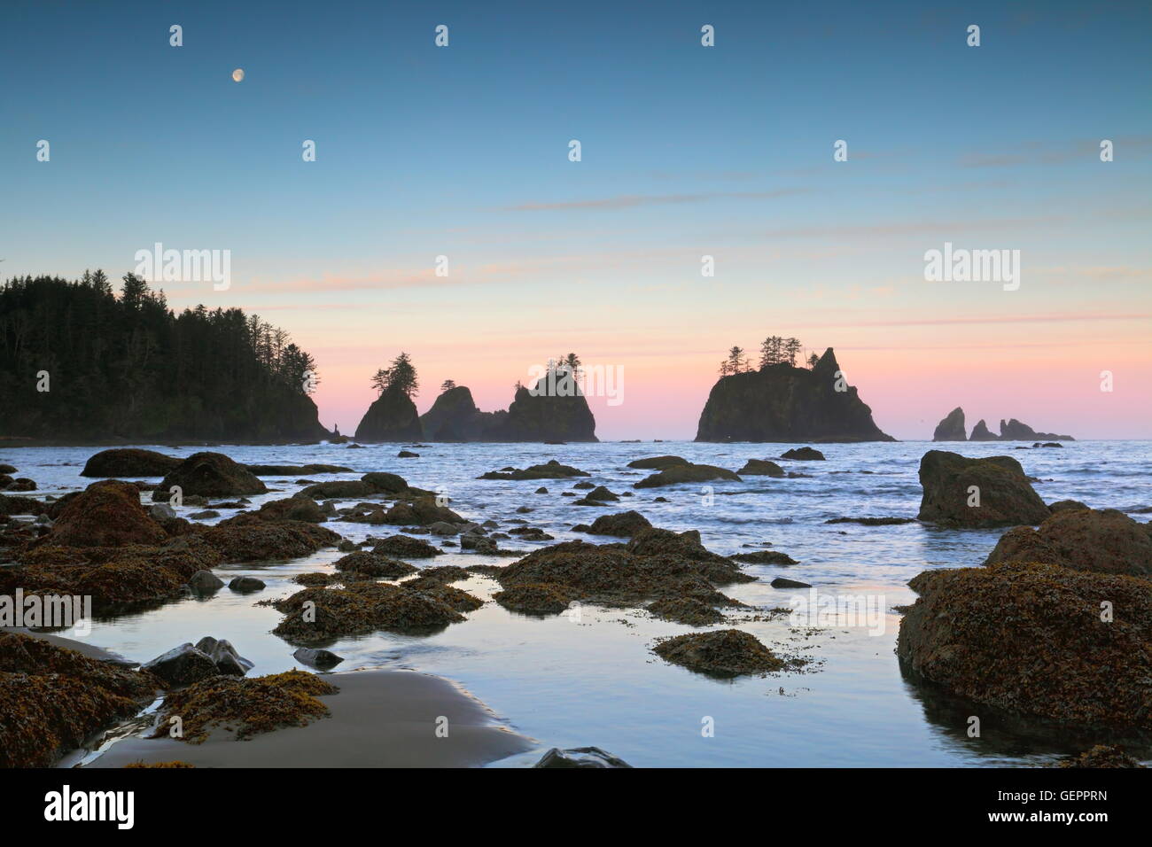 geography / travel, USA, Washington, Point of the Arches, Shi Shi Beach ...