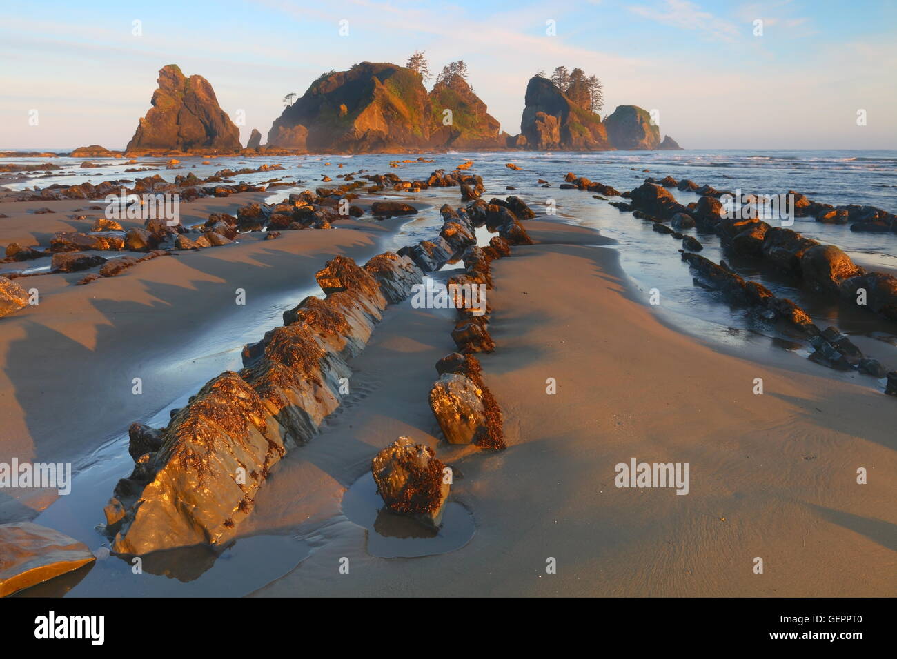 geography / travel, USA, Washington, Point of the Arches, Shi Shi Beach ...