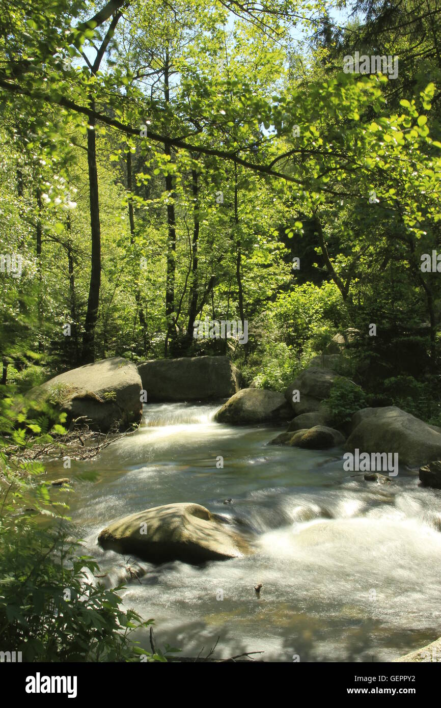 River oker oker valley harz hi-res stock photography and images - Alamy