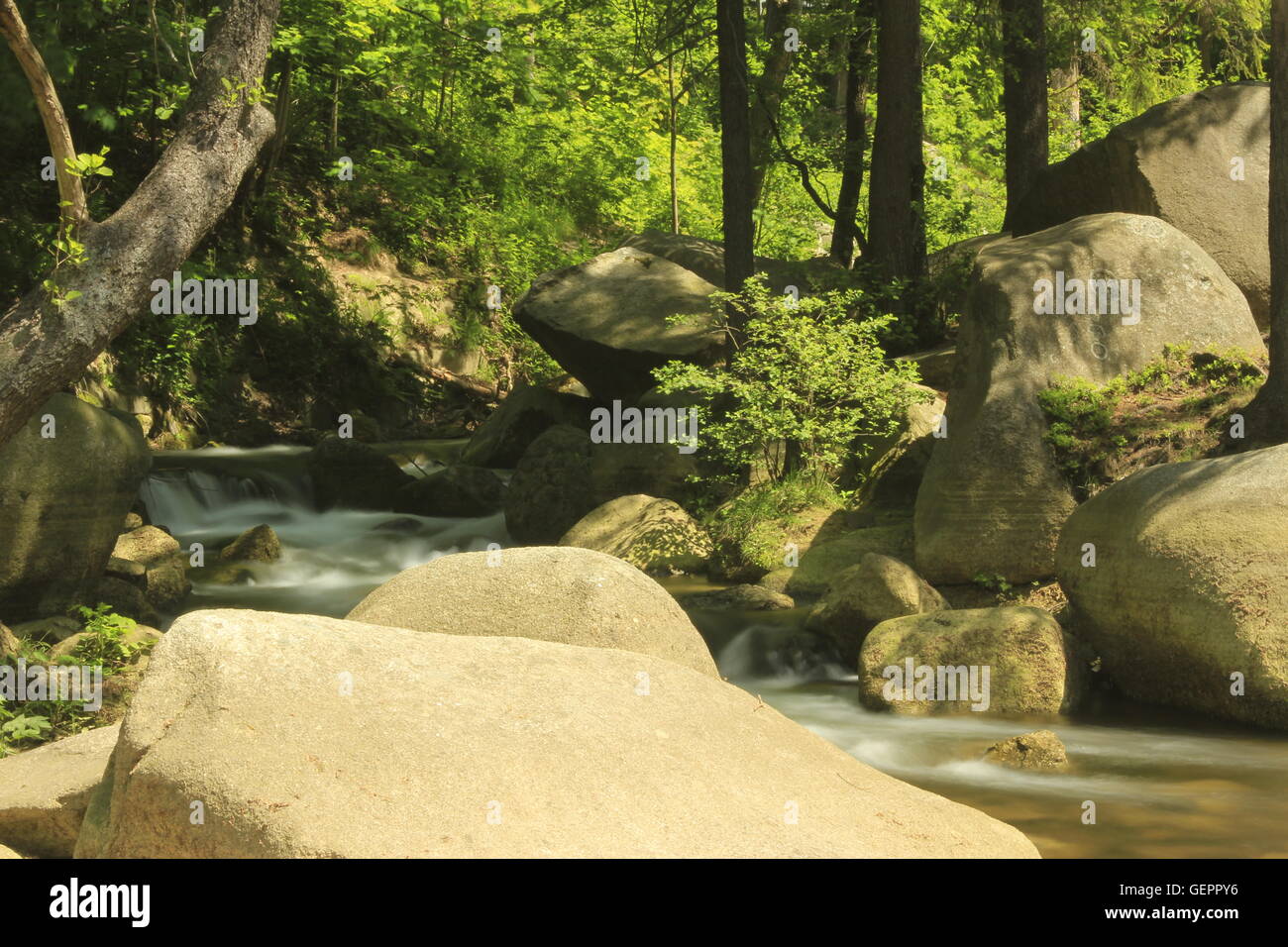 River oker oker valley harz hi-res stock photography and images - Alamy
