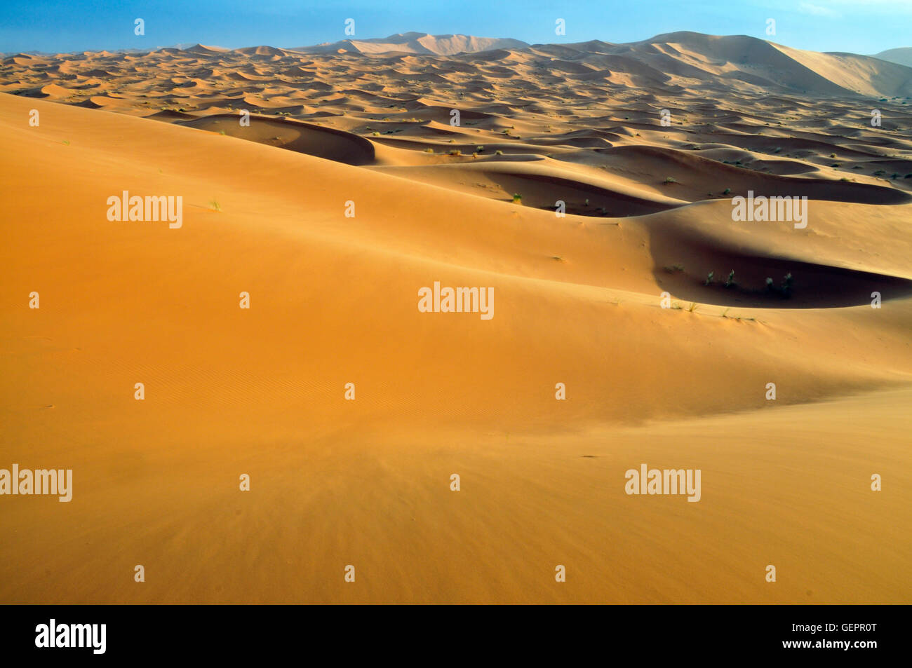 geography / travel, Morocco, Erg Chebbi, dunes Stock Photo - Alamy