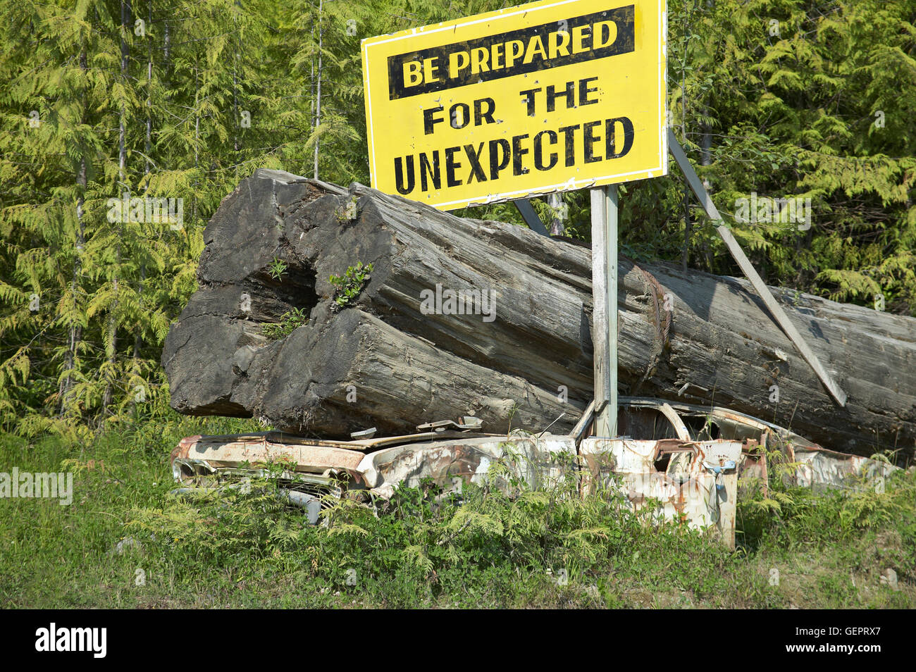 Unexpected photo hi-res stock photography and images - Alamy