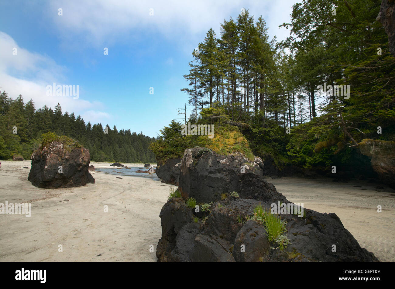 Cape scott hi-res stock photography and images - Alamy