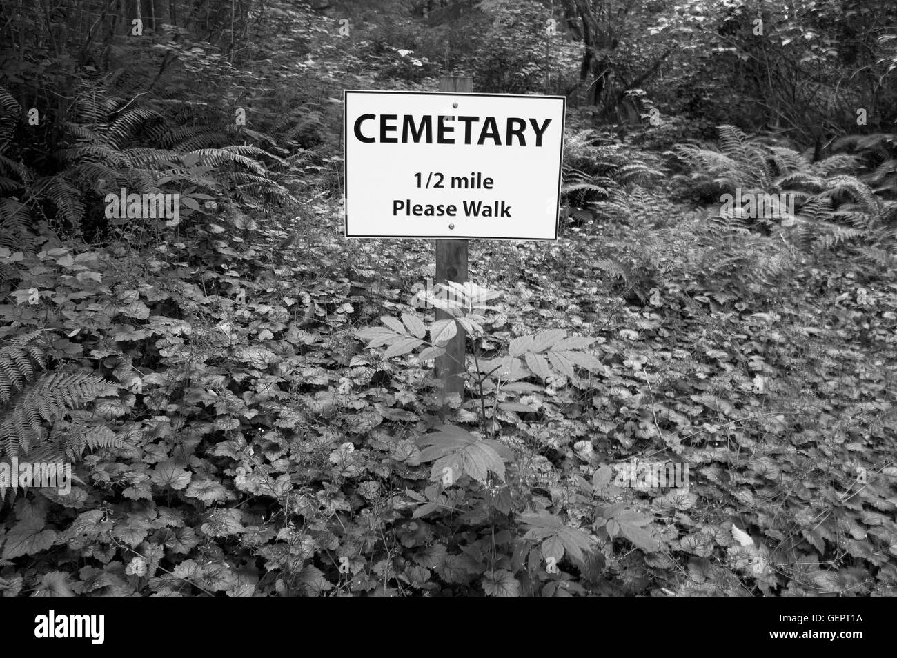 Vancouver cemetery hi-res stock photography and images - Alamy