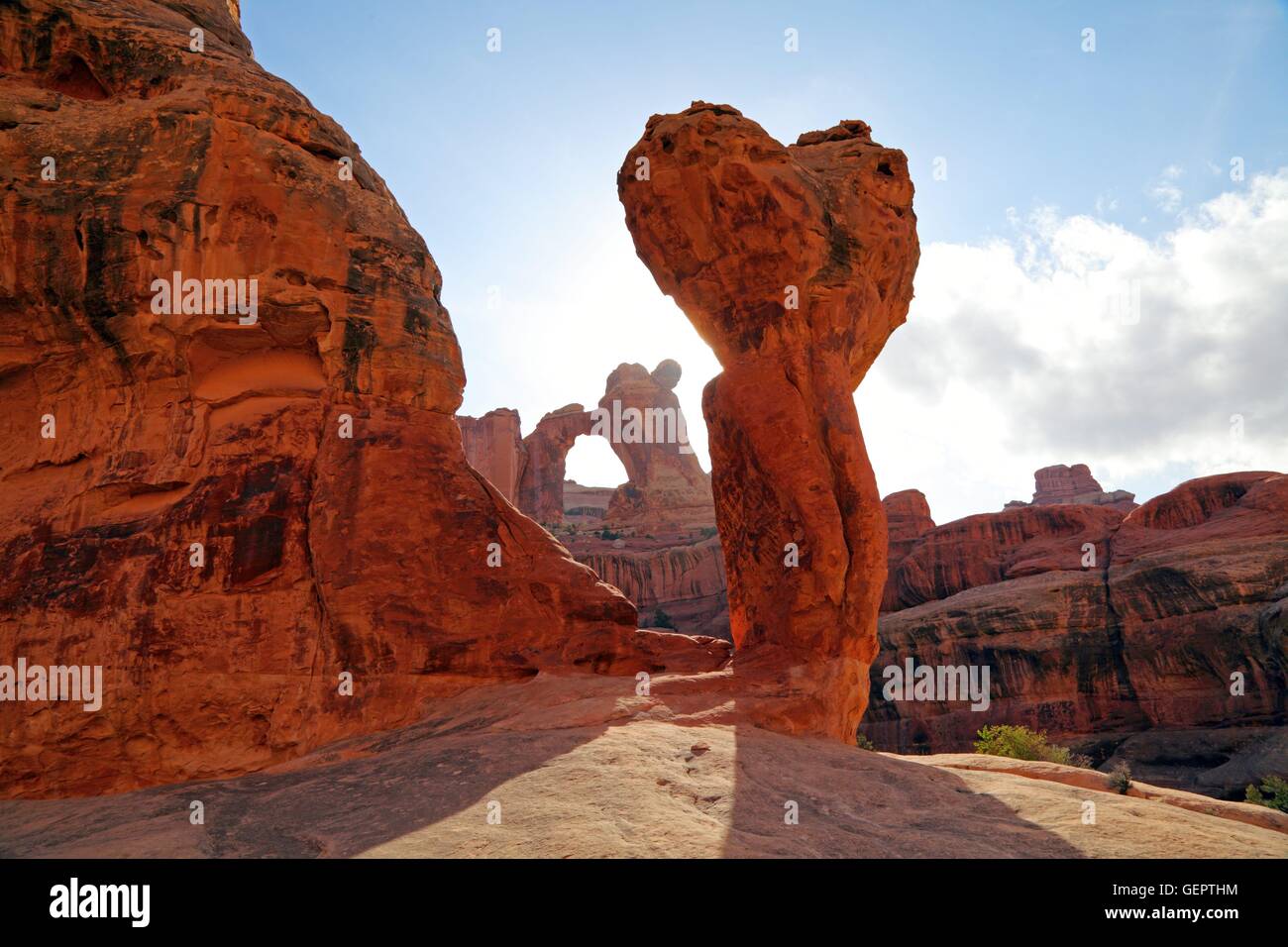 geography / travel, USA, Utah, Angel Arch, Molar (molar), Salt Creek ...