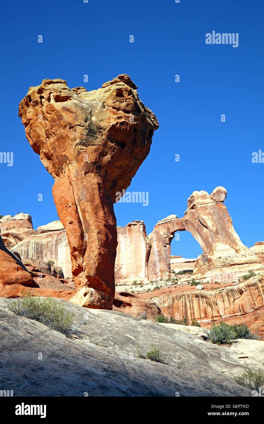 geography / travel, USA, Utah, Angel Arch, Molar (molar), Needles ...