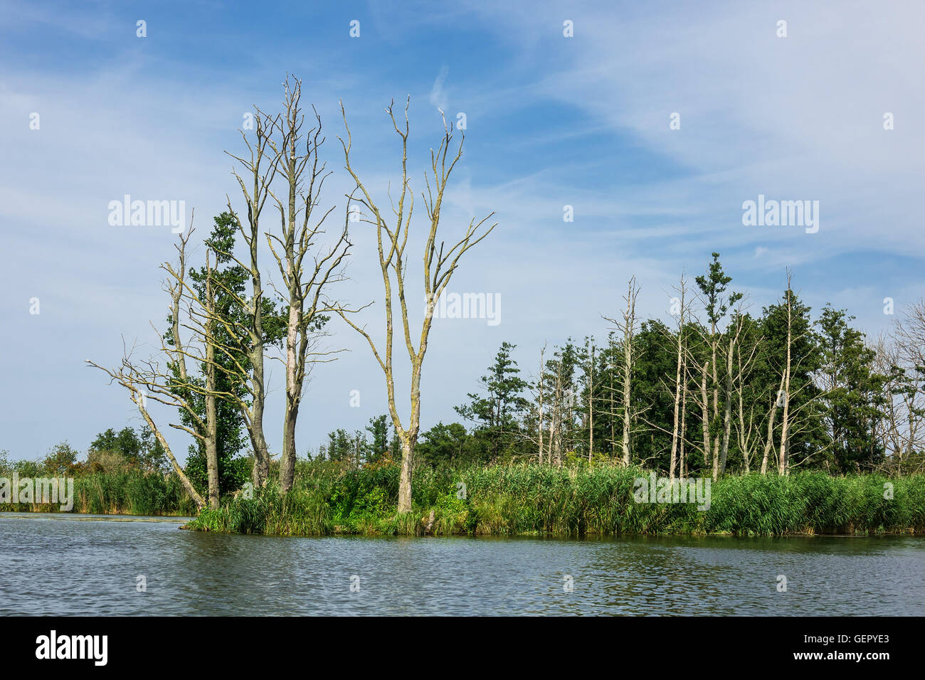 Peene near loitz hi-res stock photography and images - Alamy