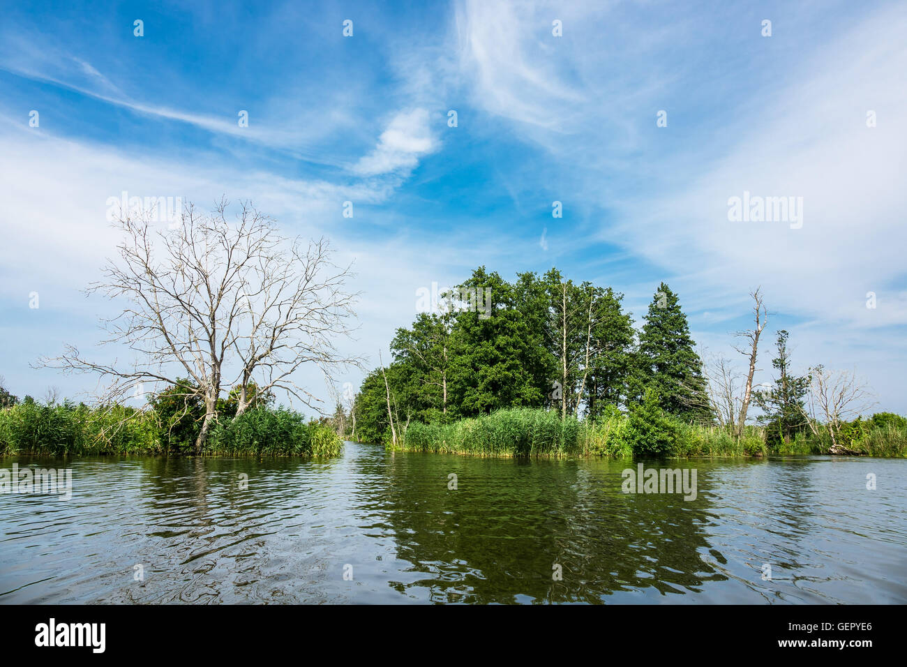 Landscape on the river Peene near Loitz (Germany Stock Photo - Alamy