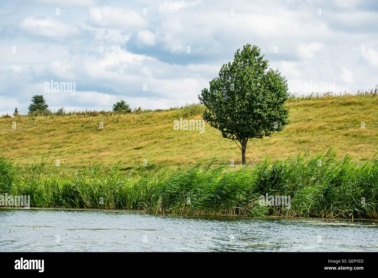 Peene near loitz hi-res stock photography and images - Alamy