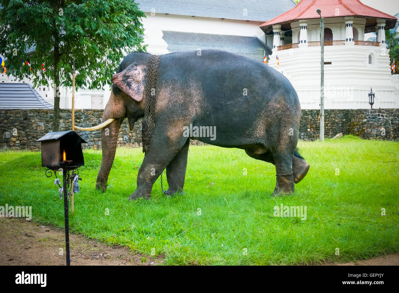 Sri dalada maligawa hi-res stock photography and images - Alamy