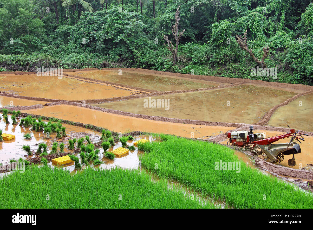 Terraced Paddy Field High Resolution Stock Photography and Images - Alamy