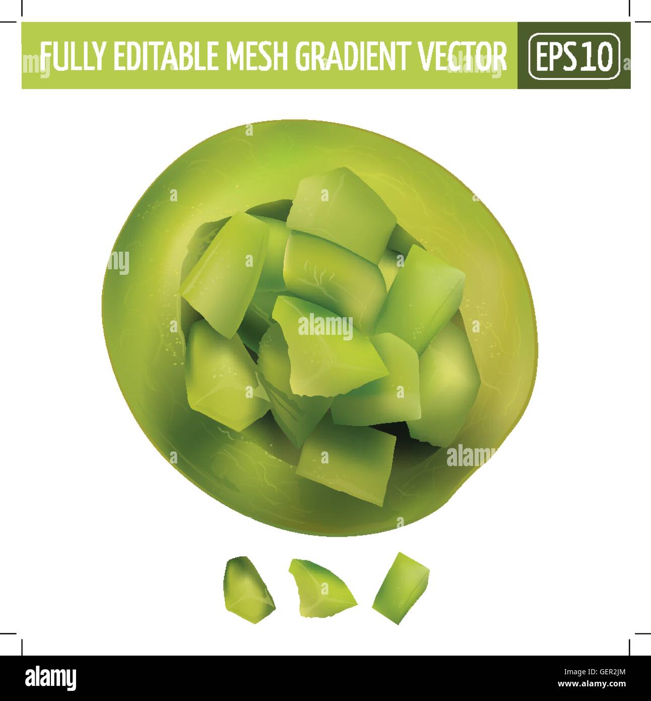 Green Melon Cut on White Background. Vector illustration Stock Vector ...