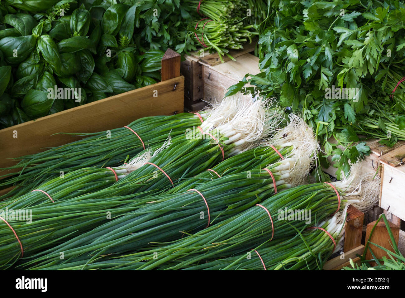 food market - bundle of spring onions, basilica and parsley Stock Photo ...