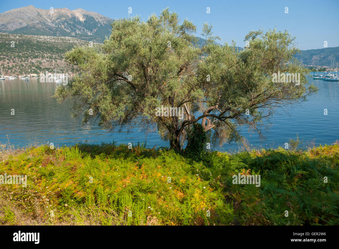The village of Geni / Nidri in Lefkada, Greece Stock Photo - Alamy
