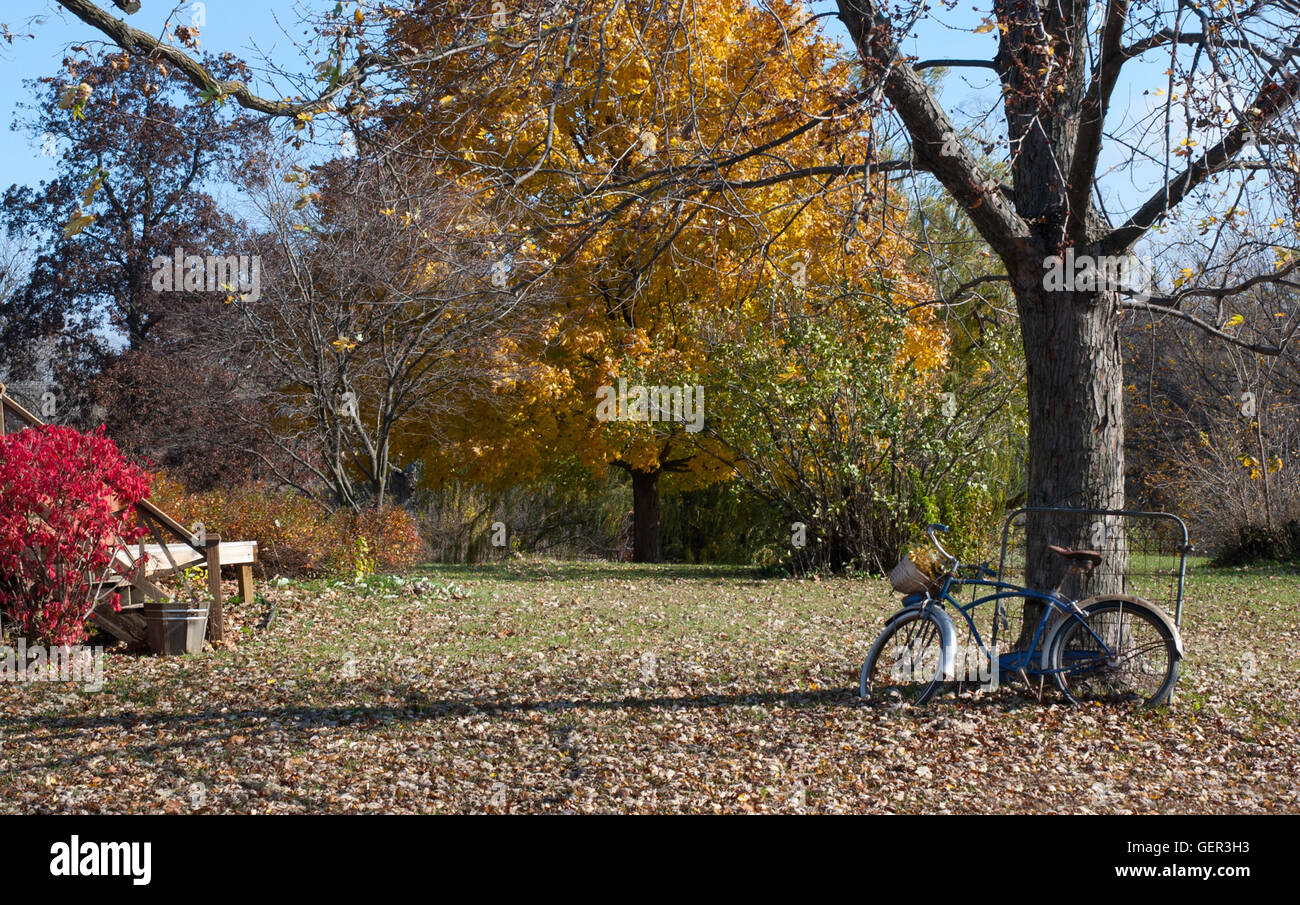 Farm yard with bicycle Stock Photo - Alamy