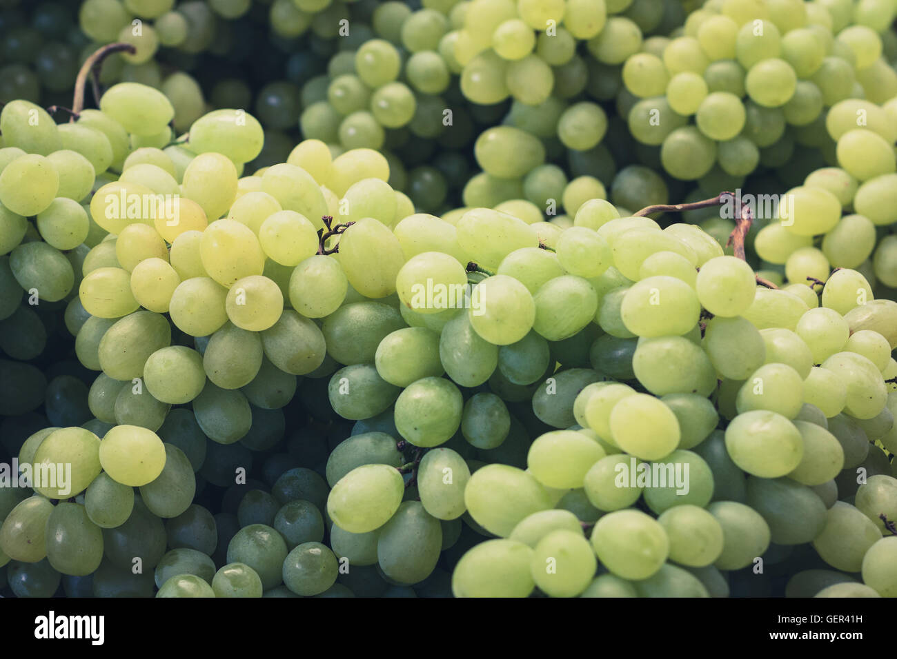grapevine / grapes closeup - pile of green grapes Stock Photo - Alamy