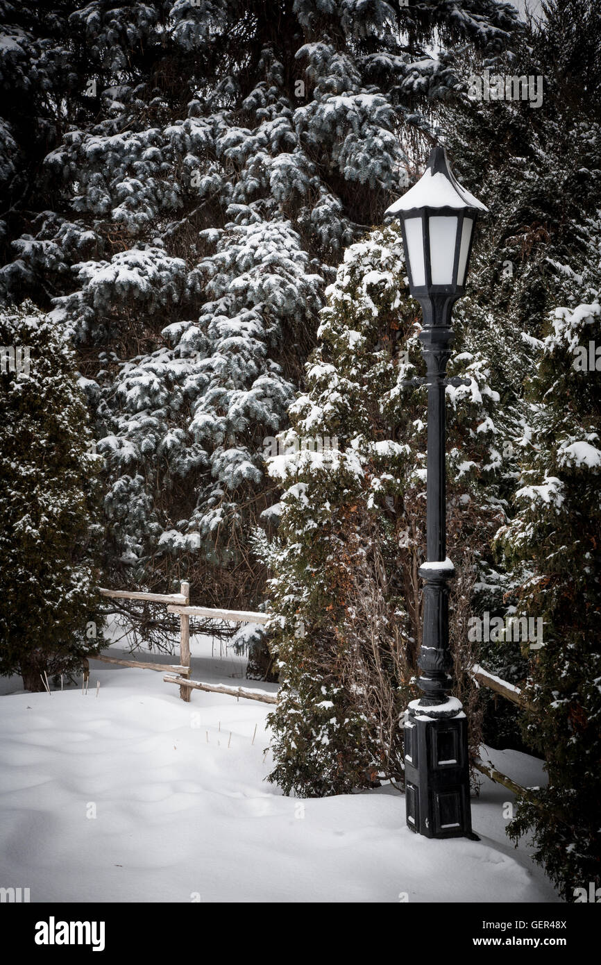 Lamp Post in Winter Stock Photo - Alamy