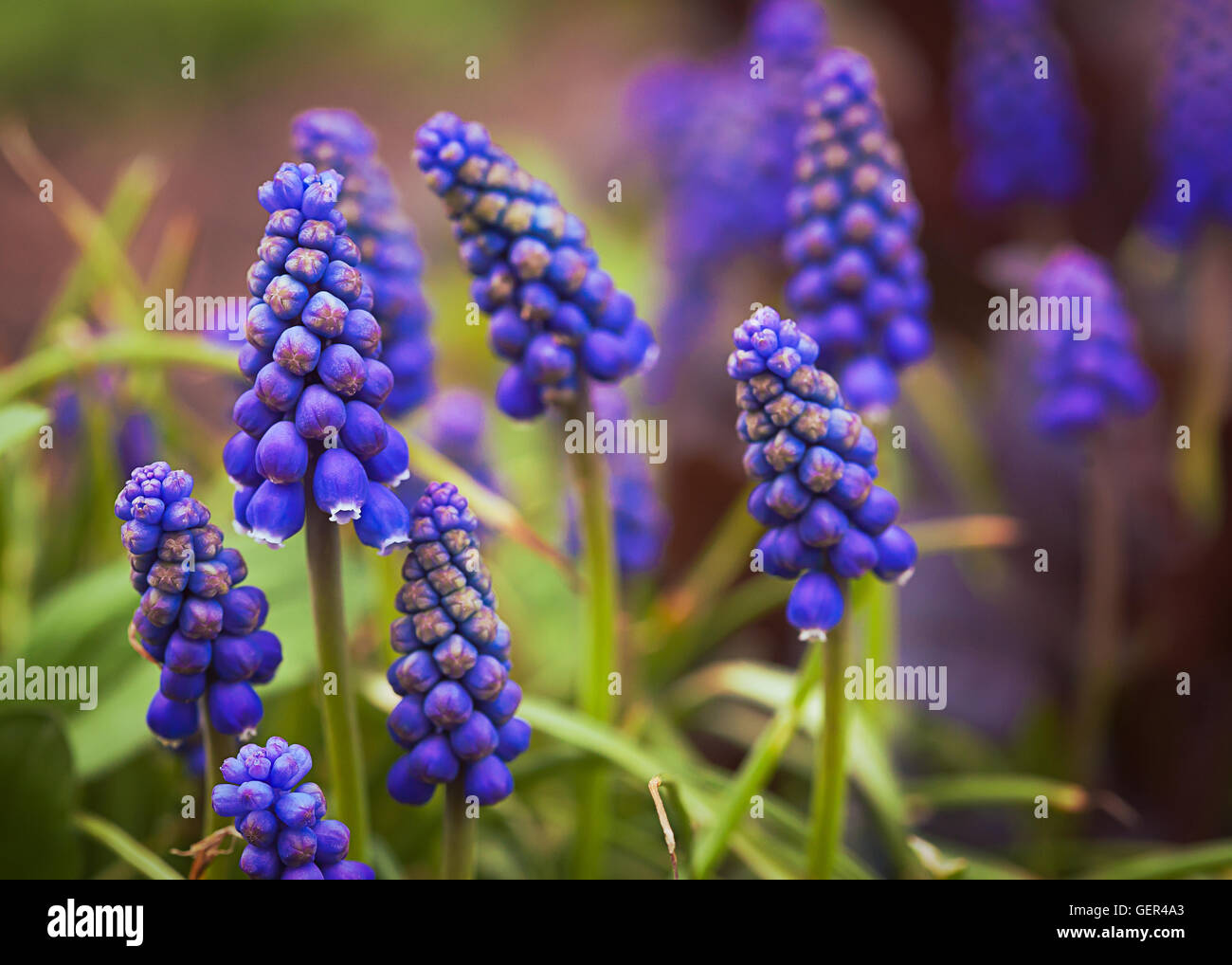 365 project hi-res stock photography and images - Alamy