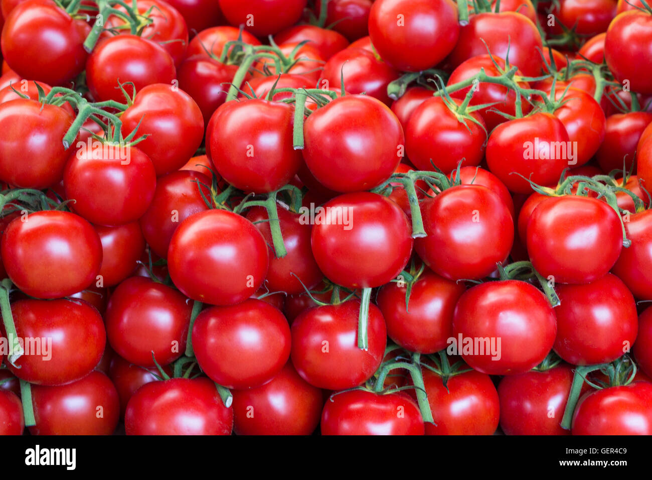 shiny raw tomatoes - tomato background Stock Photo - Alamy