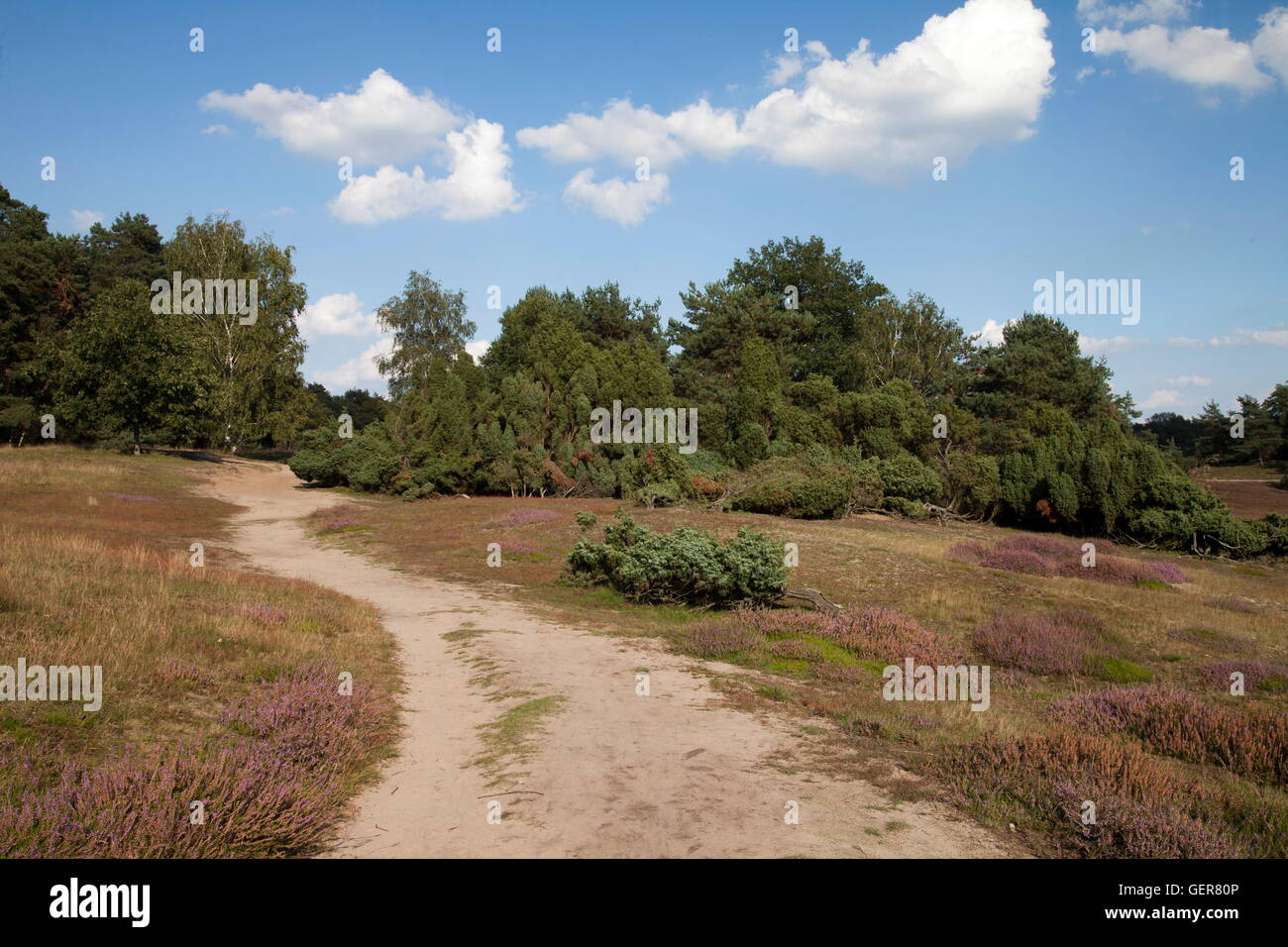 geography / travel, Germany, North Rhine-Westphalia, Munsterland ...
