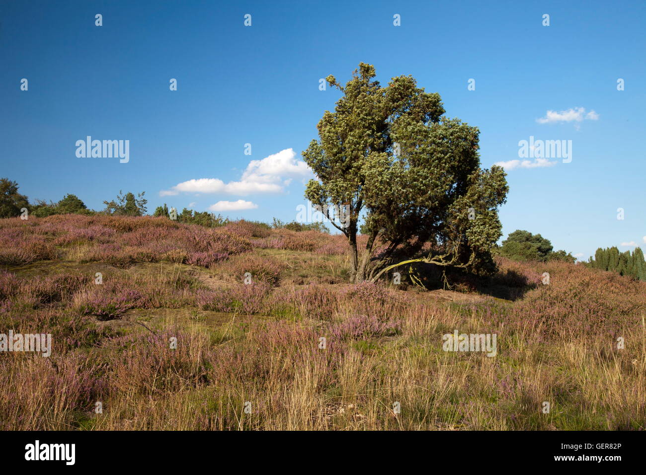 geography / travel, Germany, North Rhine-Westphalia, Munsterland ...