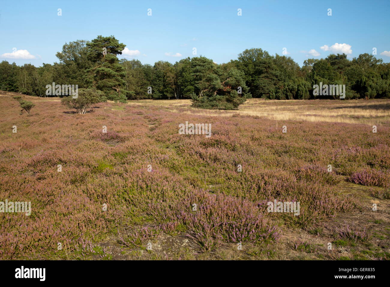 geography / travel, Germany, North Rhine-Westphalia, Munsterland ...