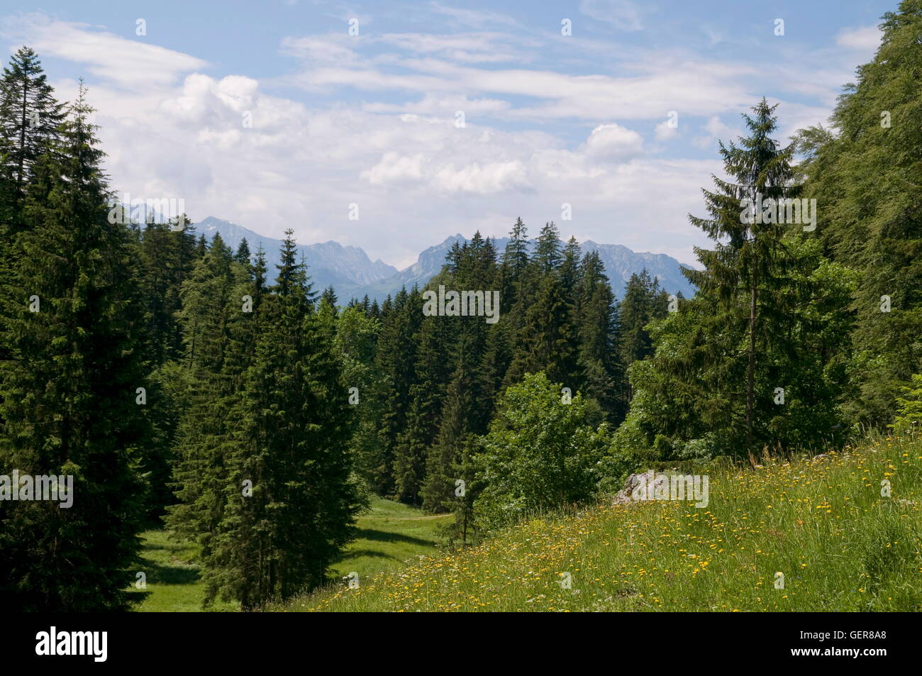 geography / travel, Germany, Bavaria, Taubensee, Woessner See (Lake ...