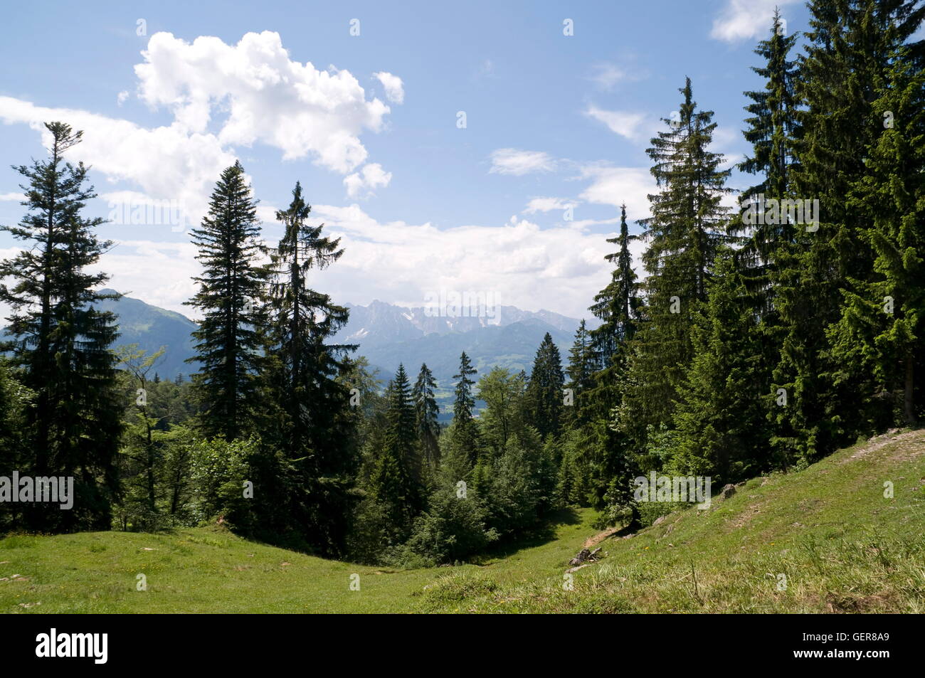 Wossner see hi-res stock photography and images - Alamy