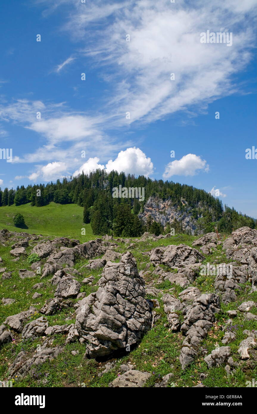 geography / travel, Germany, Bavaria, Austria, Tyrol, Traunstein ...