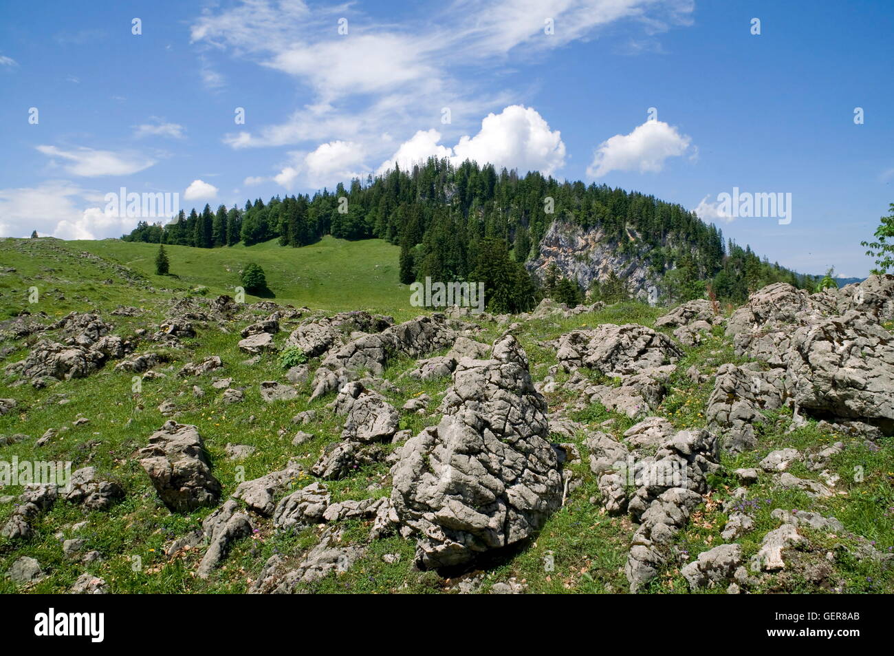 geography / travel, Germany, Bavaria, Austria, Tyrol, Traunstein ...