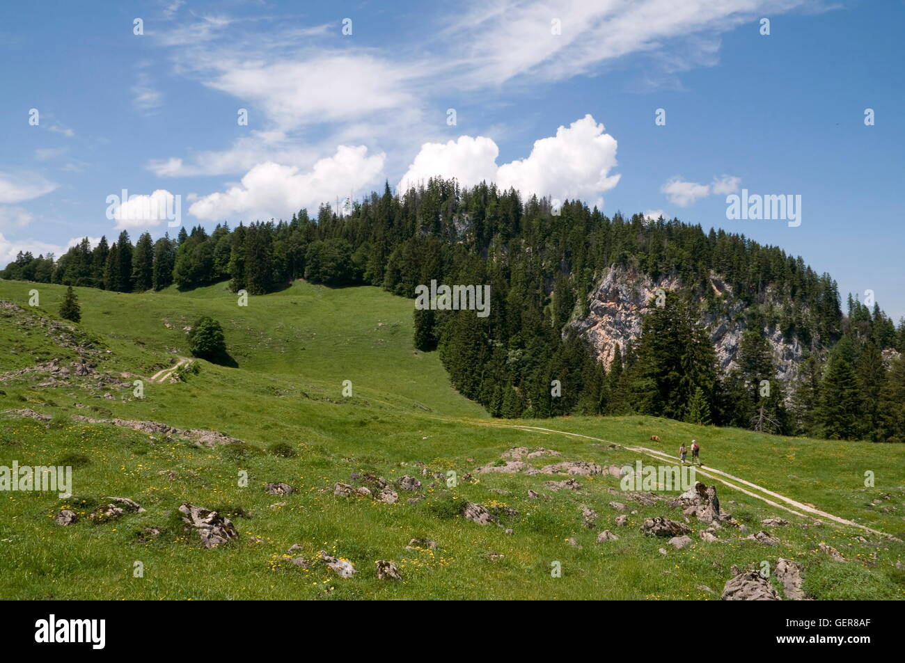geography / travel, Germany, Bavaria, Austria, Tyrol, Traunstein ...