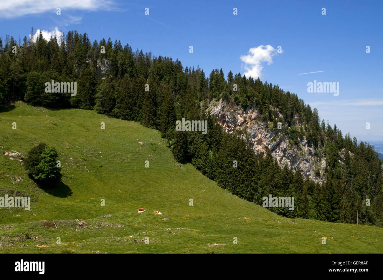 geography / travel, Germany, Bavaria, Austria, Tyrol, Traunstein ...