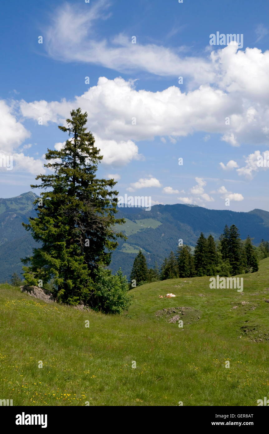 geography / travel, Germany, Bavaria, Austria, Tyrol, Traunstein ...