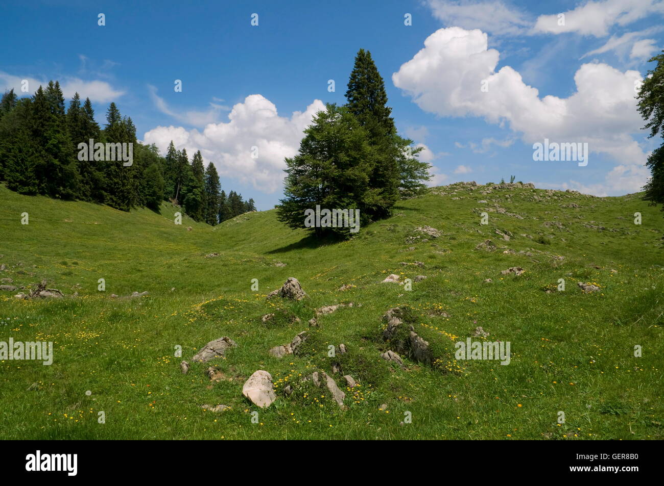 geography / travel, Germany, Bavaria, Austria, Tyrol, Traunstein ...