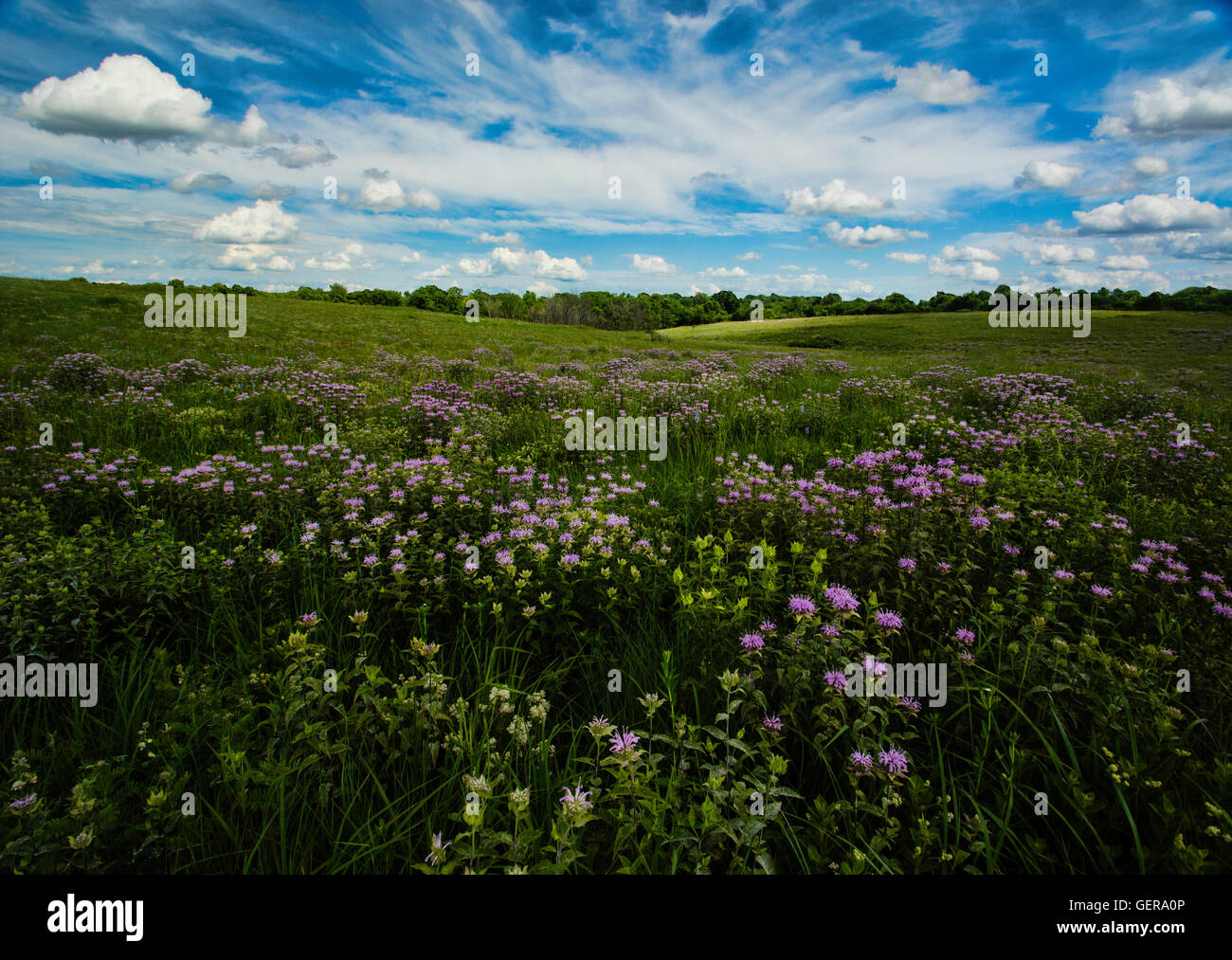 Beautiful sky over beautiful prairie Stock Photo - Alamy