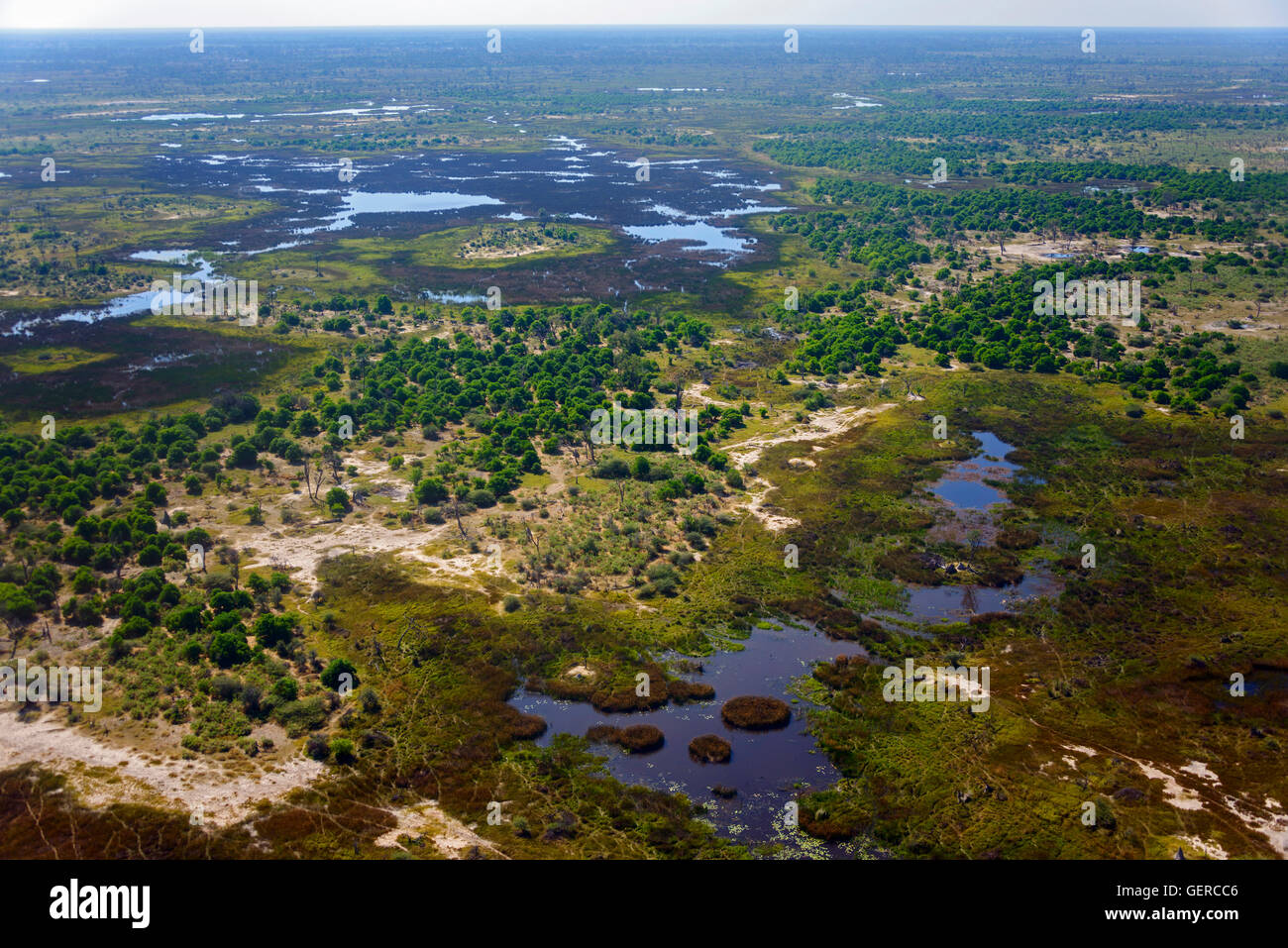 Aerial view, Okavango Delta, Botswana Stock Photo - Alamy