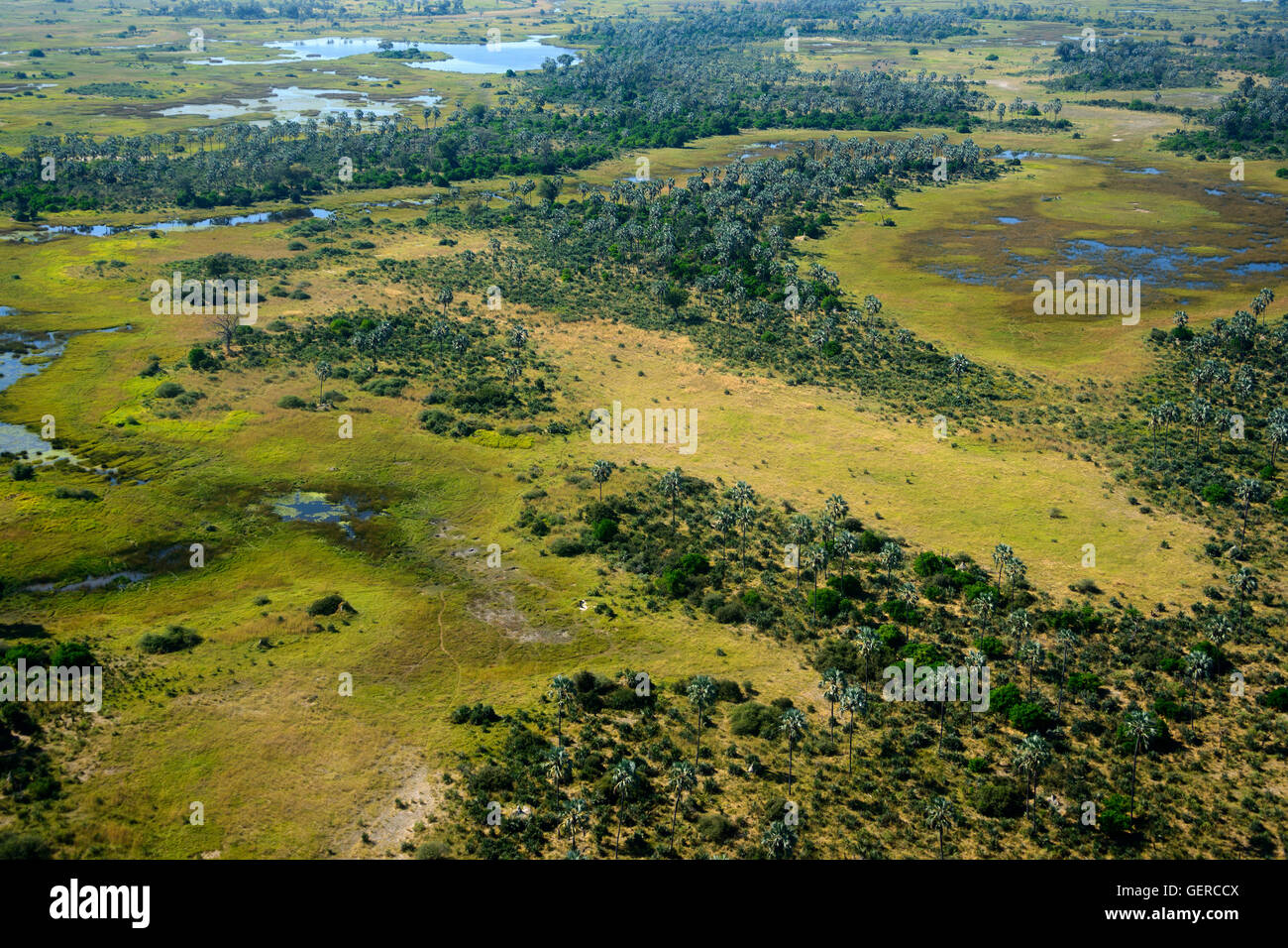 Delta photos hi-res stock photography and images - Alamy