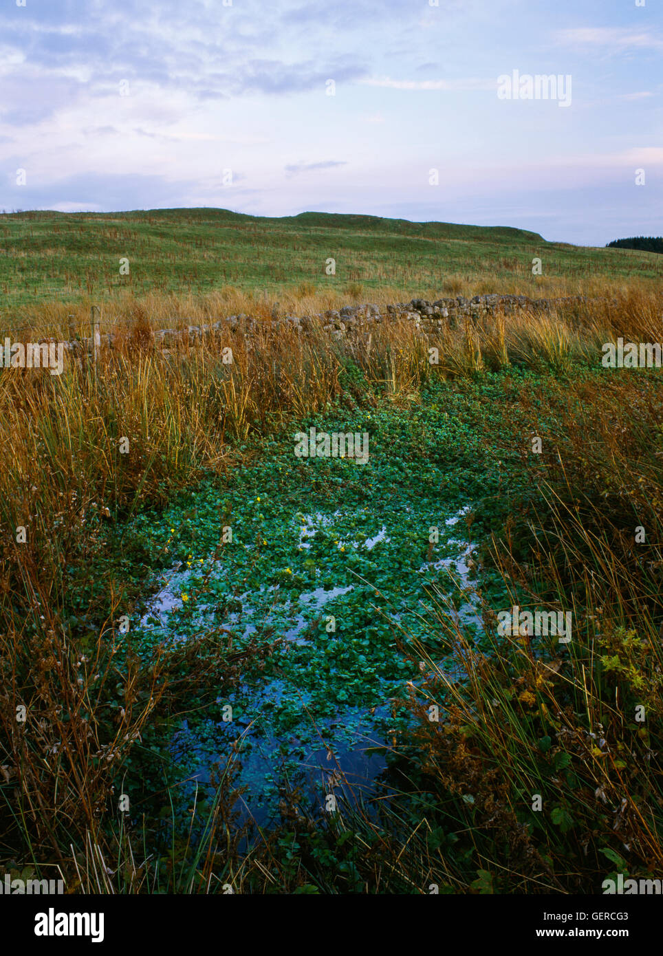 View ESE over site of Coventina's Well to Carrawburgh Roman fort ...