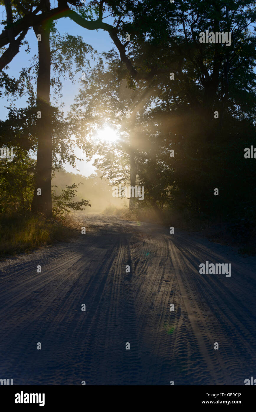 Moremi Wildlife Reserve, Okavangodelta, Botswana Stock Photo - Alamy