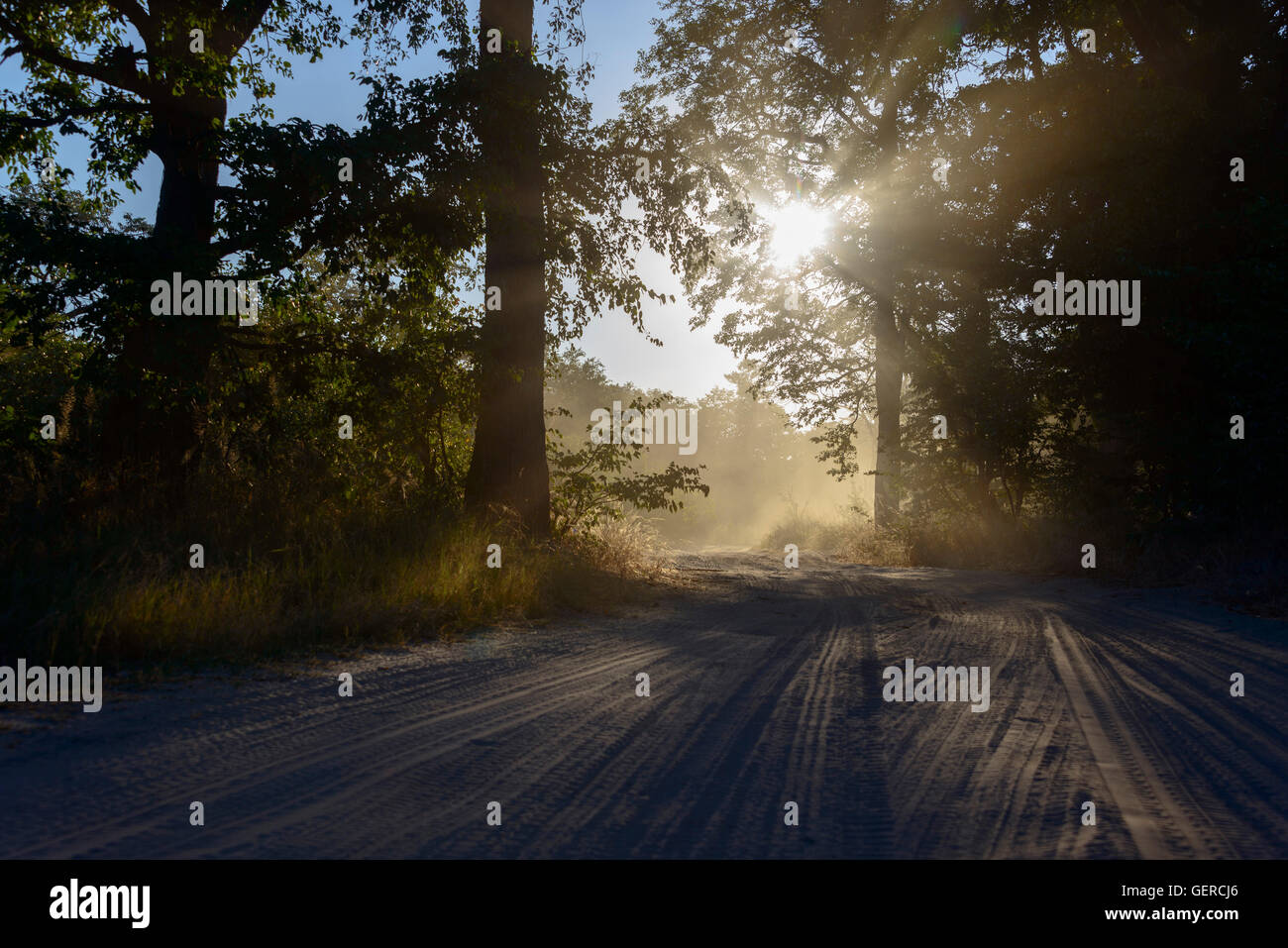 Moremi Wildlife Reserve, Okavangodelta, Botswana Stock Photo - Alamy