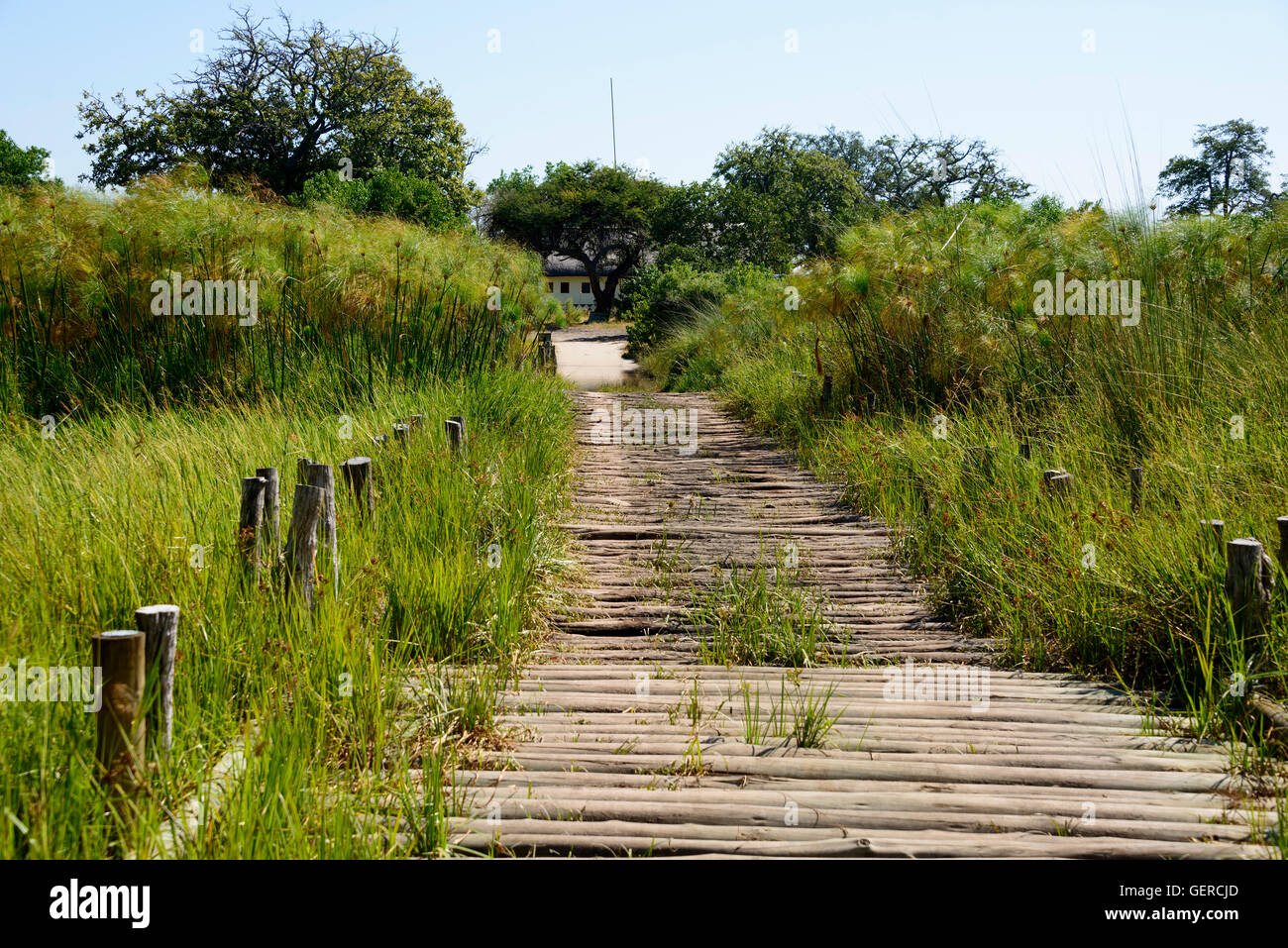 Third bridge, Moremi Wildlife Reserve, Okavangodelta, Botswana Stock ...